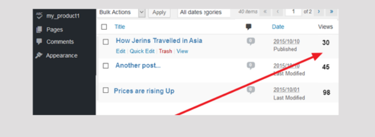Top 11 Best Visitor Counter WordPress Plugins